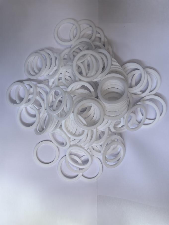PTFE Hydraulic Cylinder Retaining Ring with Rubber Bellow Seal